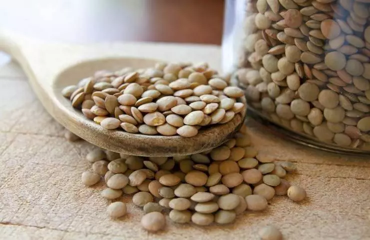 Sopa de lentejas, frijoles y champiñones