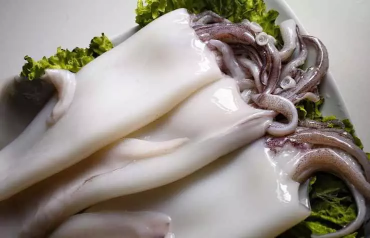 سوپ ماهی مرکب فلفلی | دعوت کننده و خوش طعم 22452_2