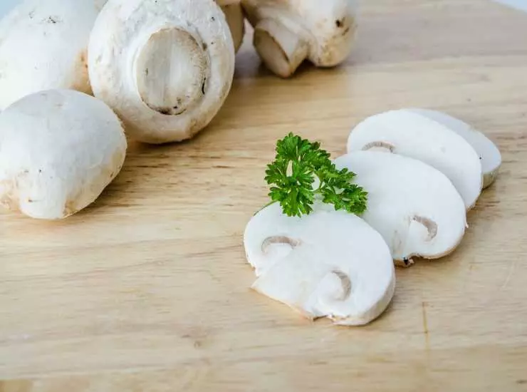 Cremige Champignons mit Stracchino | leckere Beilage im Handumdrehen fertig 22514_2