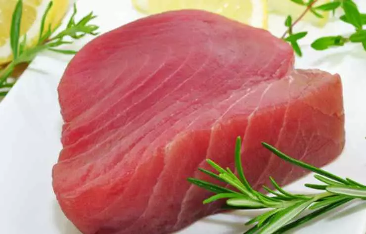 brušný tuniak