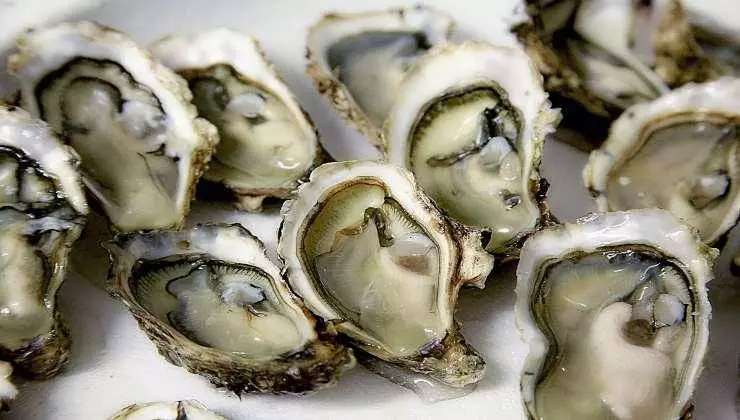 Norovirus kwi oyster