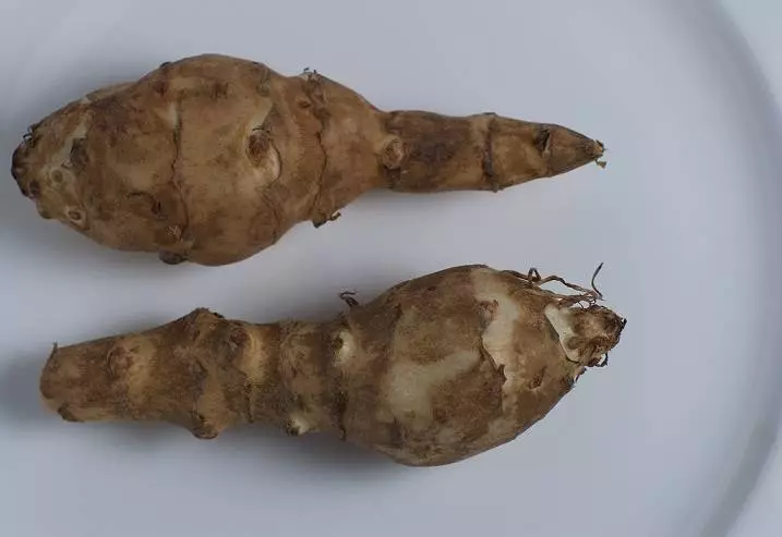 Ginisang Jerusalem artichoke | Ang partikular na lasa ng isang tuber 23007_2