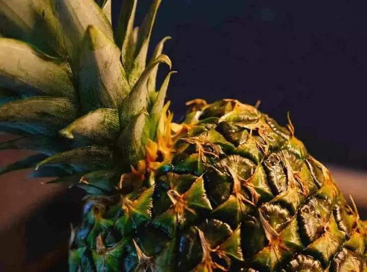Neapstrādātas šķiņķa melones un ananāsu karpačo recepte