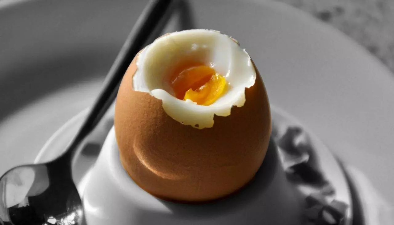 eenvoudig snel gekookt ei
