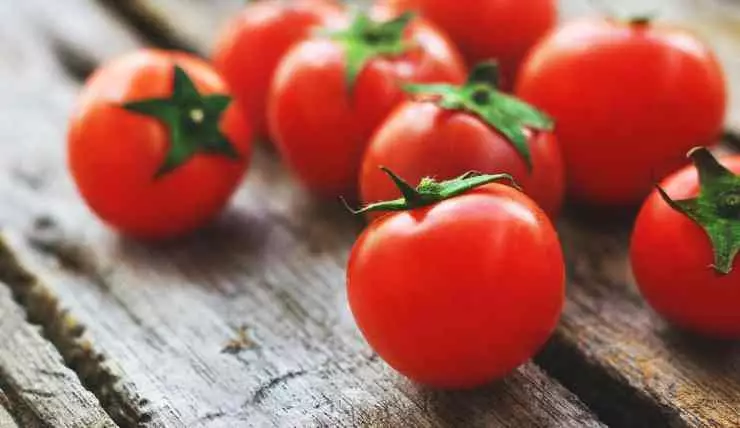 Tomat ceri musim panas oleh Alessandra Spisni | Lauk pauk yang mudah dan enak 23587_2