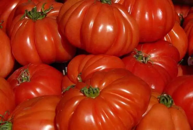 pasta dengan tomato dan zaitun