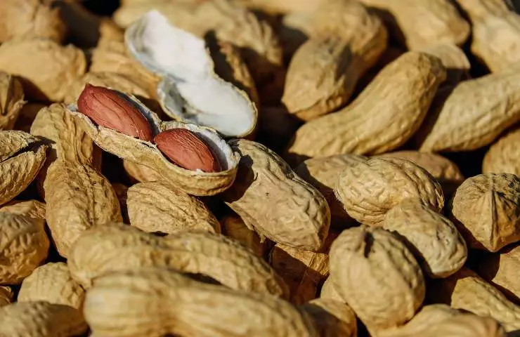aflatoxíny v dovezených arašidoch