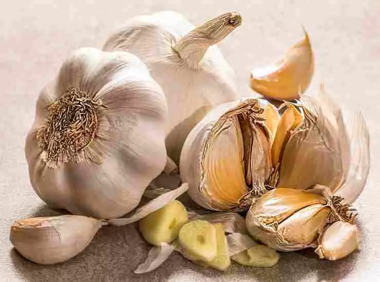 Yağda sarımsak FOTOĞRAF tarifi baskısı