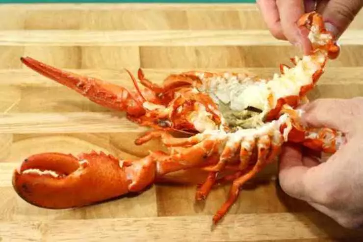 Lobster kapena gratin | Chachiwiri chokoma komanso chofulumira kununkhira 23794_2