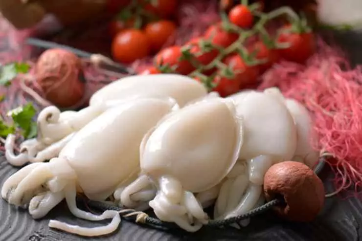 Crostini бо cuttlefish stewed | Табақи ягона бо маззаи болаззат 24093_2