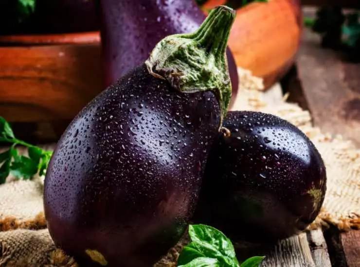Parmigiana eggplant gwyn di-lactos, rysáit ysgafn wedi'i goginio yn y popty 24167_2