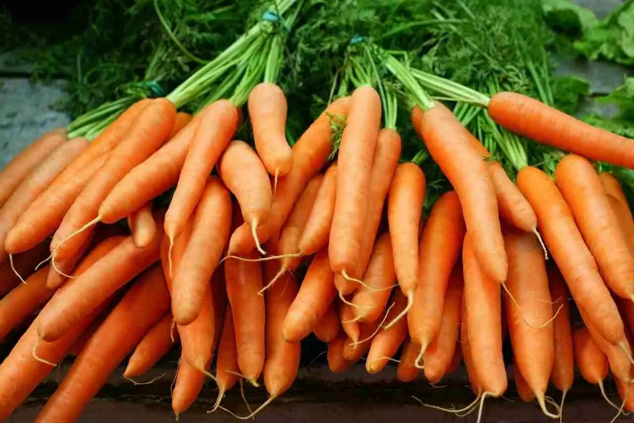Karotten Kalorien | ween seet se maachen dech fett richteg? 24351_2