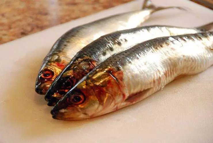 Cutlets-of-sardines-PHOTO-recipe-ebipụta