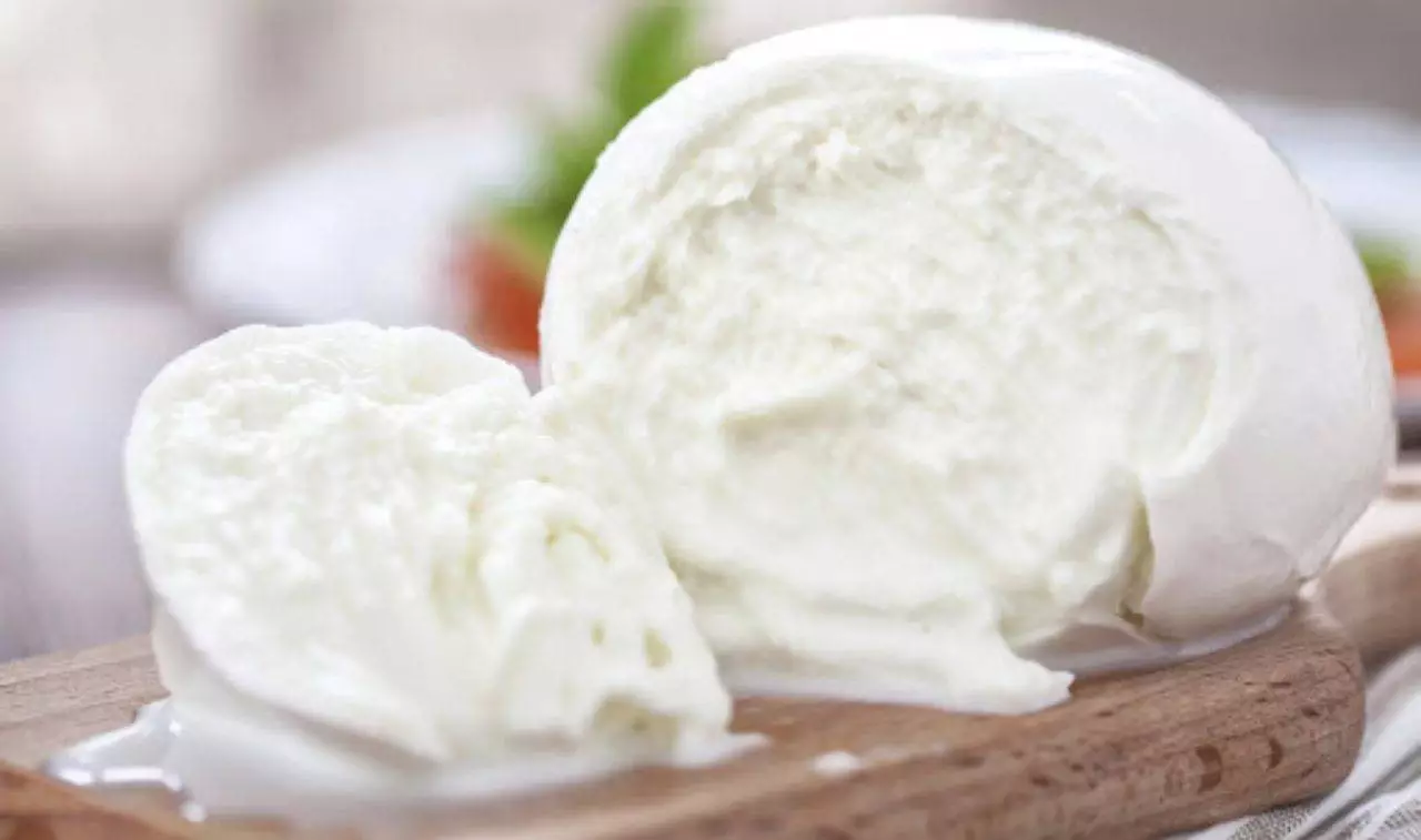 Tolida irbadaha mozzarella | Baadhitaannada arrintan ayaa la kiciyay 24616_1