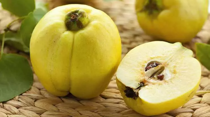 quince soda resep print