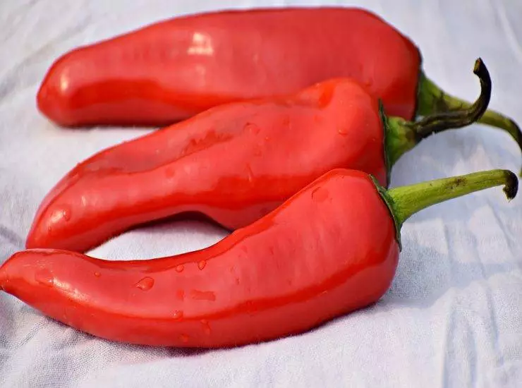 Bredbar chili, en kryddig smak till våra serieinfall 25309_2