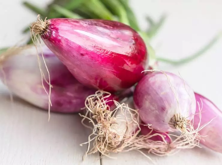 Süß-saure Paprika und Zwiebeln zur Aufbewahrung in Rezeptgläsern