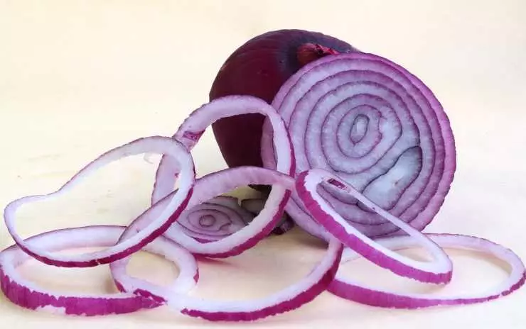 Compote of red onions PHOTO recipe print