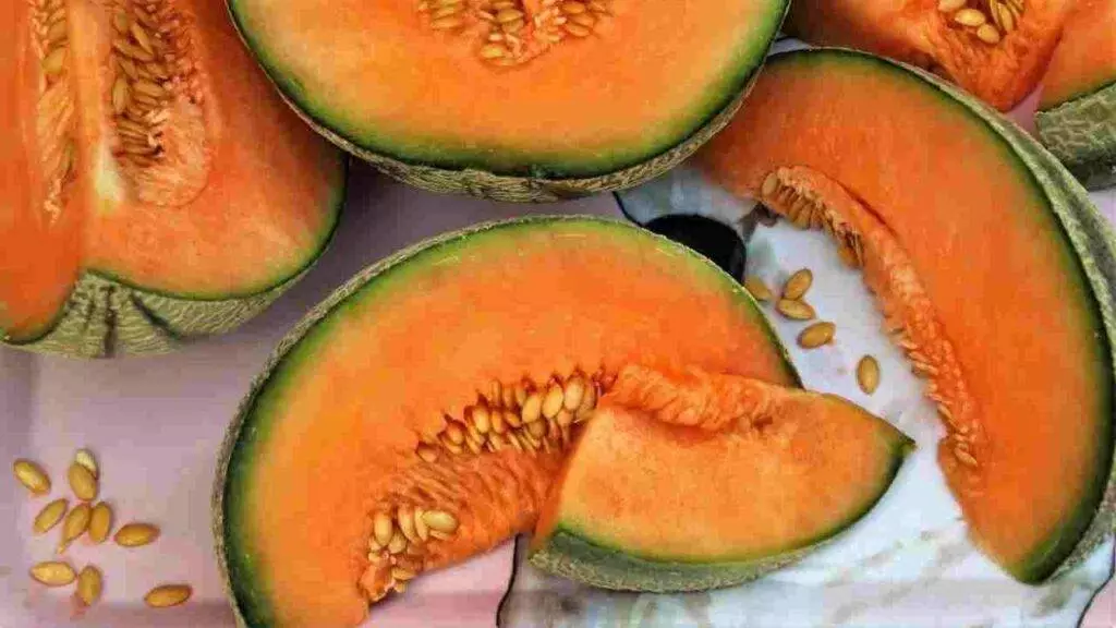 Comhábhair oideas císte melon bog a ullmhú 25918_3