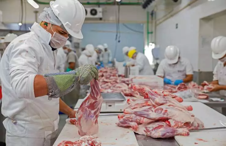 Verwerking van rood vlees in een fabriek