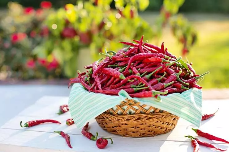 Spagetti katkarapuilla ja chilipippurilla resepti