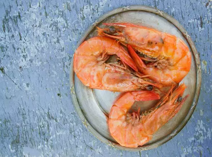 udang