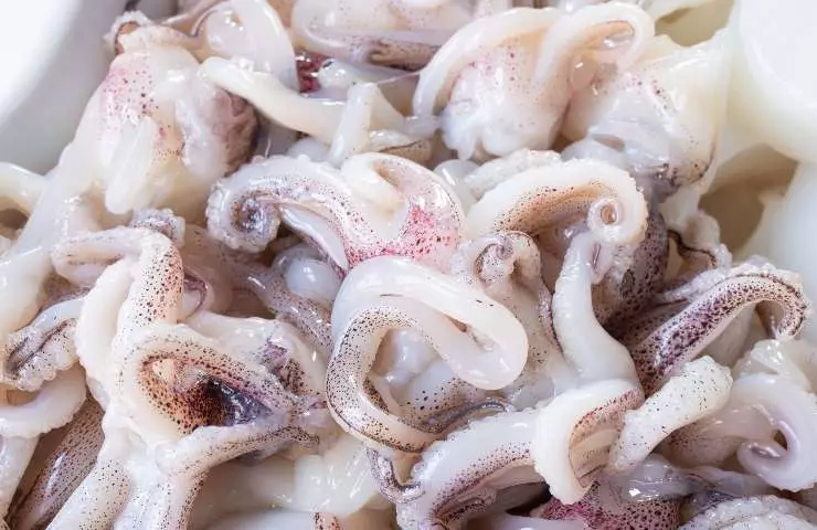 Sådan renses blæksprutten