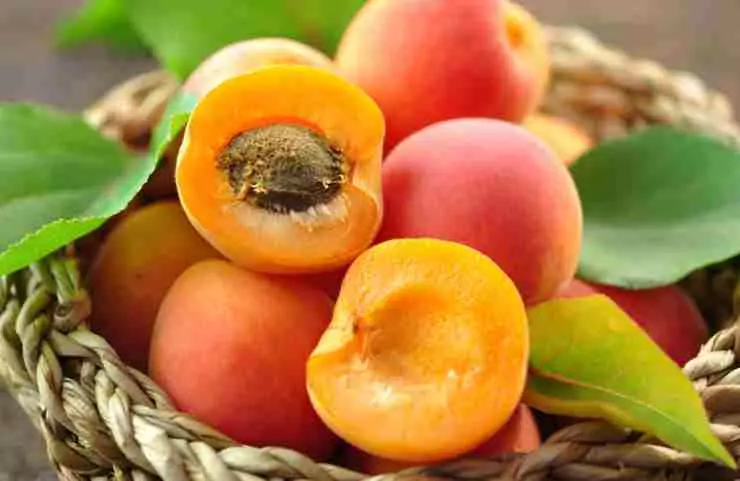 apricot