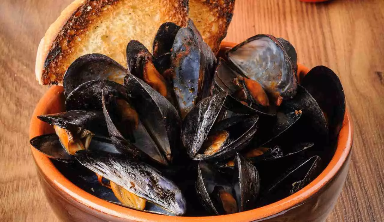 Apulian-ara mussel bimo | Rọrun o si kun fun adun 28278_1