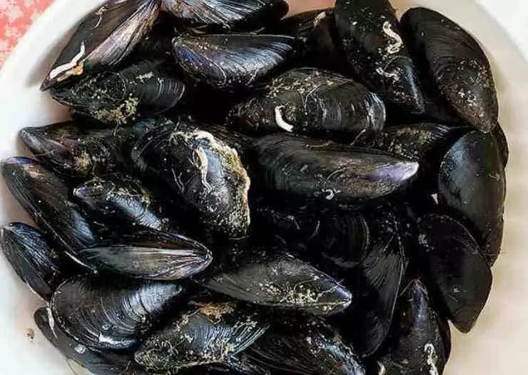 Apulian-style mussel nga sabaw | Sayon ug puno sa lami 28278_2
