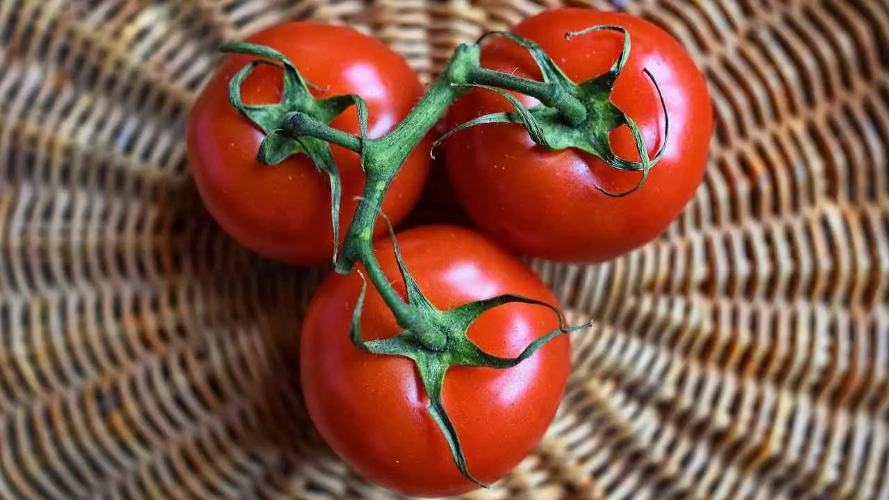 Wéi de Benedetta Rossi se preparéiert d'Tomaten si wierklech lecker, Dir wäert jiddereen iwwerraschen