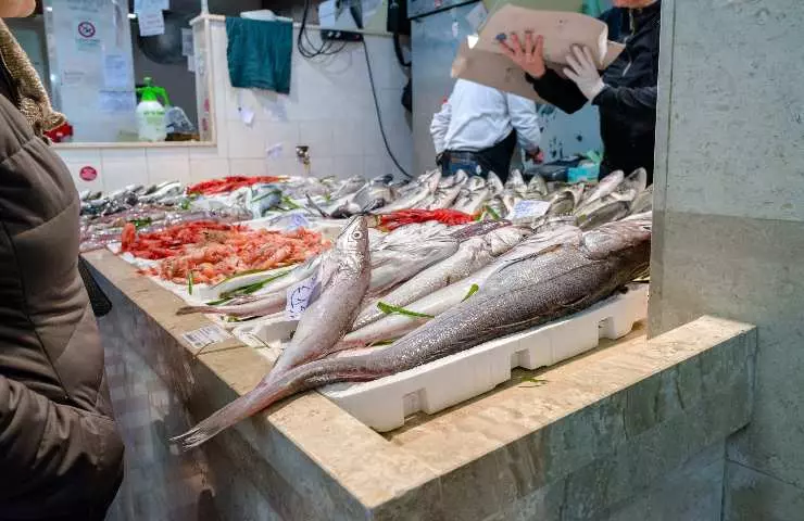 Stažení potravin pro tuňáka
