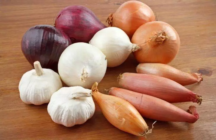 Jakie są różnice między szalotką a cebulą