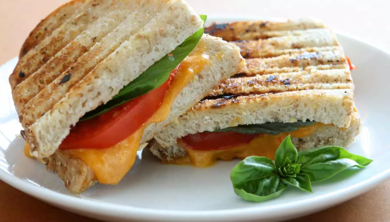 Sandwich sayuran - print resep