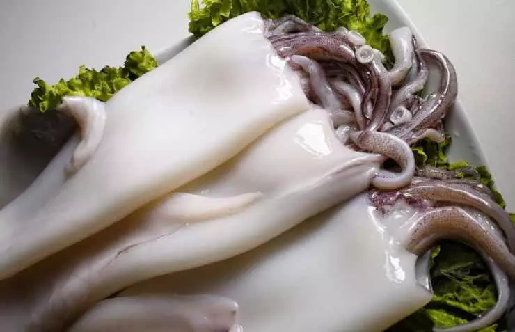 Paccheri sar dagirtî bi çapkirina reçeteya Squid PHOTO