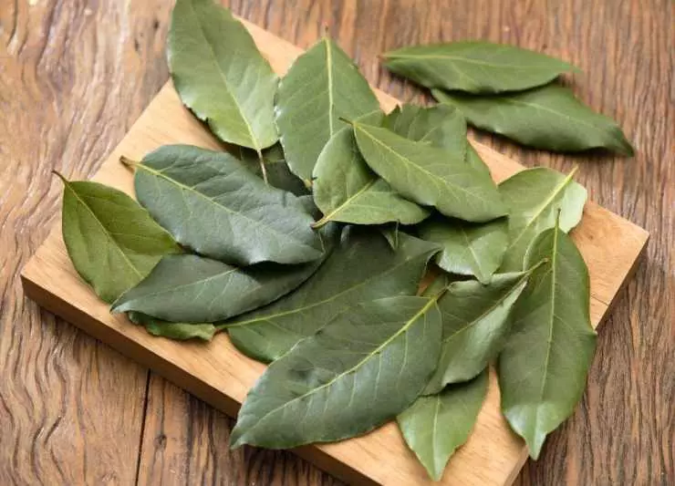 Pasta og bønner med aromatiske urter | med en delikat duft 2929_3