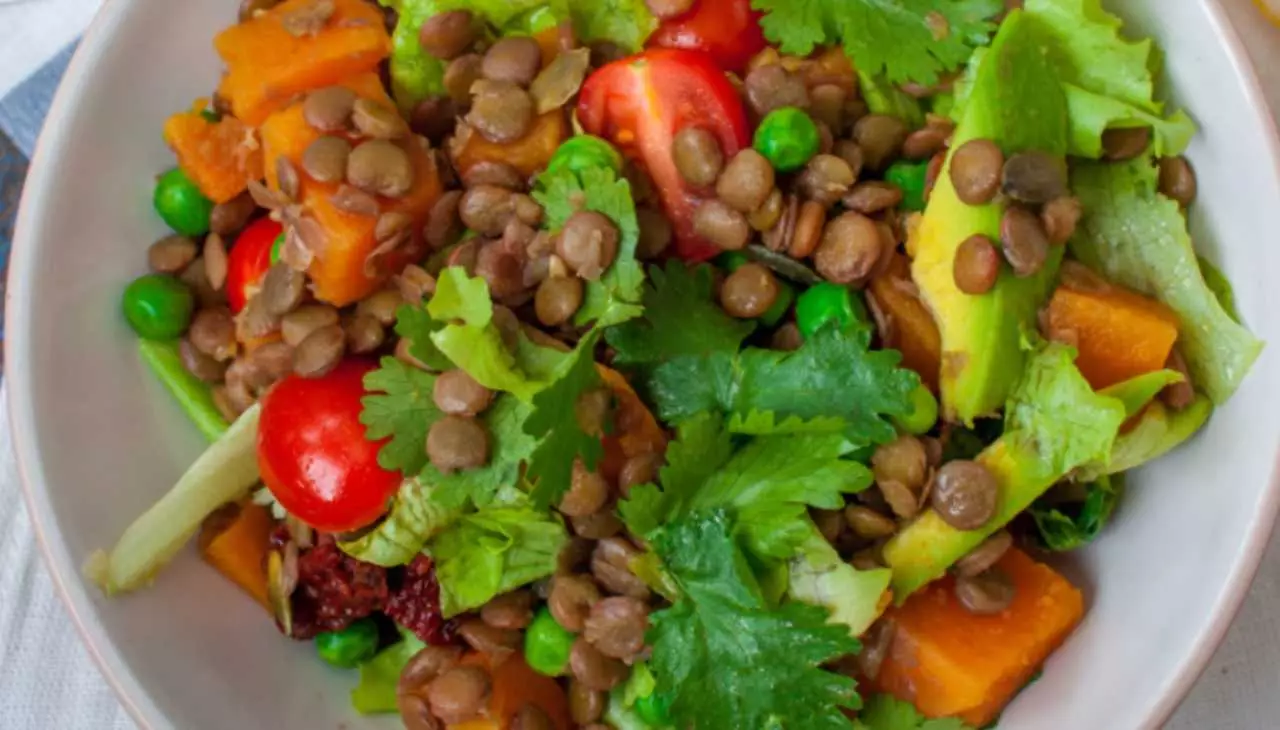 Rich Lentil Salad | Easy and tasty finger food