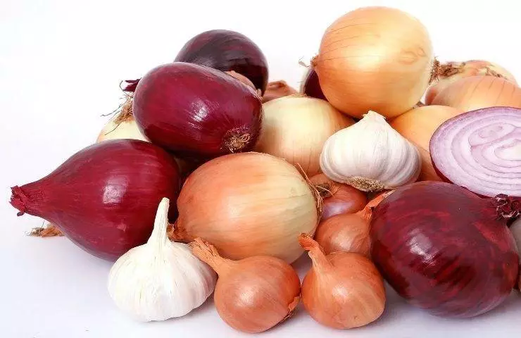 Eliminate the smell of onion at home, the foolproof do-it-yourself methods 29473_2
