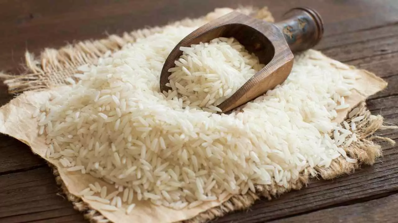 Basmati arroza