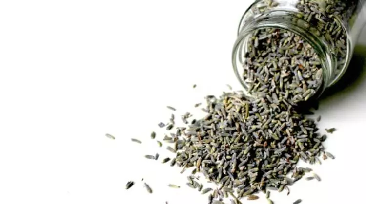 Lavanda chiplari, muzqaymoq bilan birga shirin kartoshka chiplari 29919_2