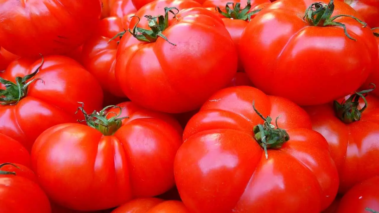 Niet alleen in salades, gegrild en bij pasta, ook tomaten zijn zo heerlijk