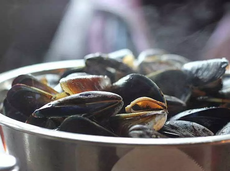 pasta pi mussels 2022 04 06 fua lolomi