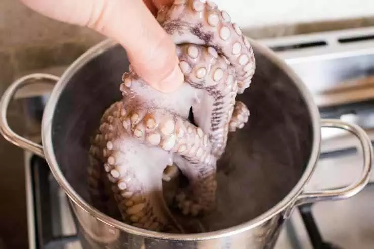 litapole tsa octopus tentacles 2022 01 19