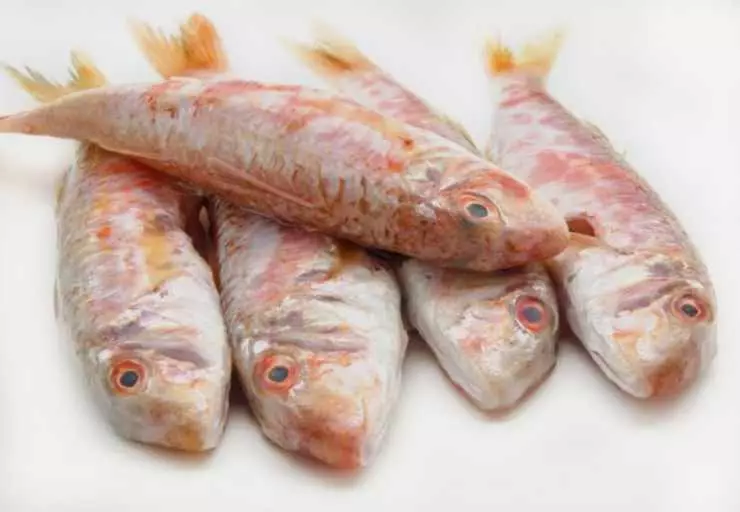 ปลากระบอกแดงปรุงในเตาอบ PHOTO สูตรพิมพ์