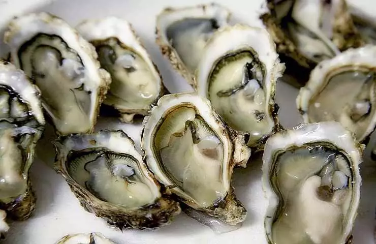 Awọn oysters ti o ṣetan