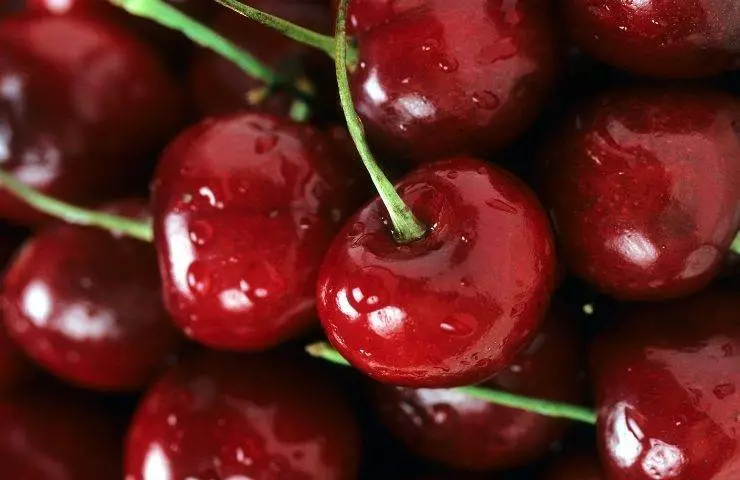 Cherry sorbet PHOTO recipe print