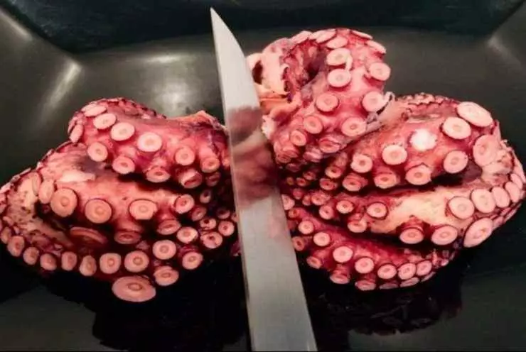 Millefeuille van octopus en aardappelen FOTO recept print