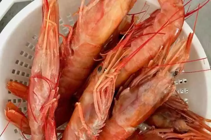 Prawns