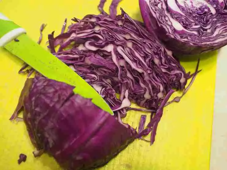 Pula nga cabbage salad ni Benedetta Rossi