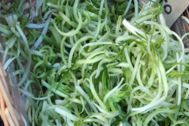 anchovy chicory salad 2022 02 19